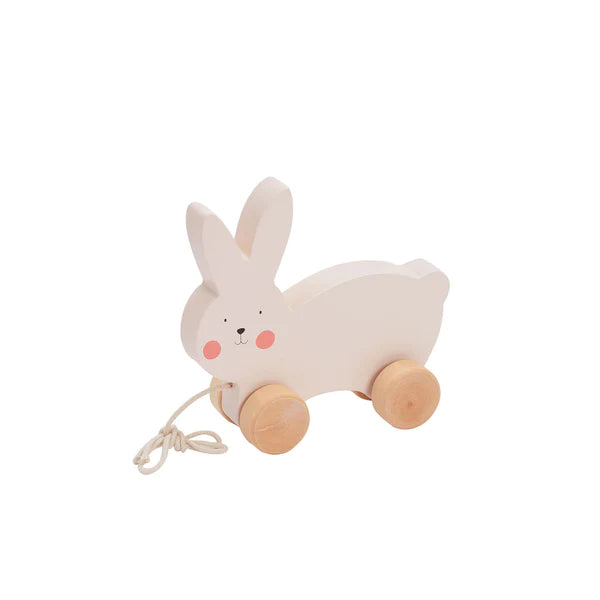 Bubble Wooden Rabbit Pull Along | Baby Junction