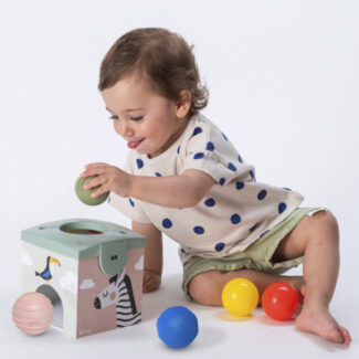 TAF Toys Magic Box | Baby Junction